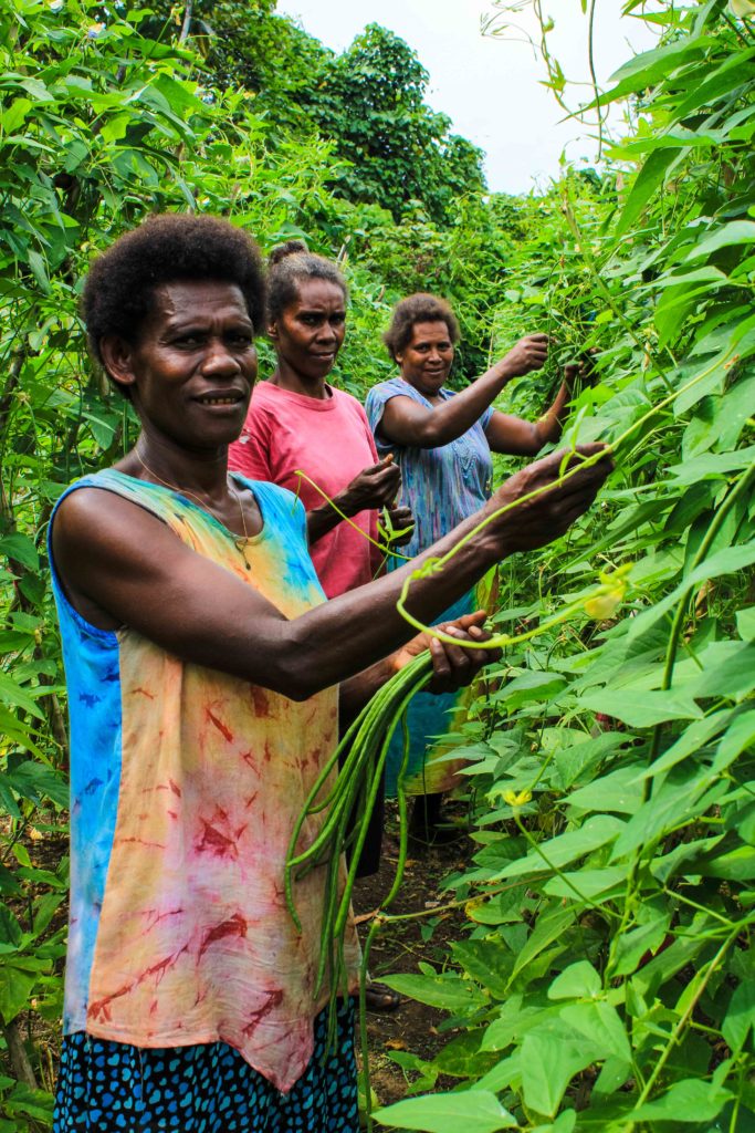 Tina River Hydropower Project recognizes the contribution of local ...